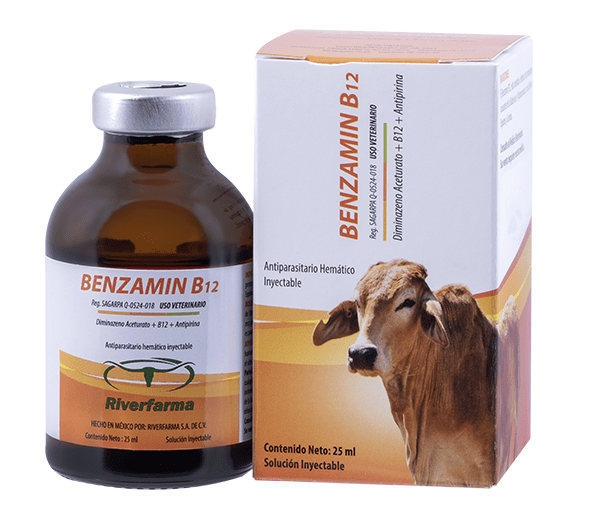 Benzamin B12 - Ramagrosa
